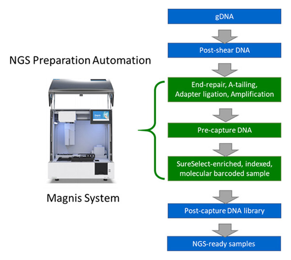 Magnis NGS Prep System Magnis NGS 樣品製備系統 - 威健股份有限公司