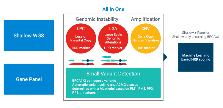SureSelect CD HRR17 SureSelect HRR 靶向捕獲基因套組 - 威健股份有限公司