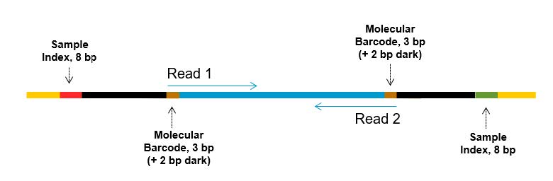 SureSelect XT HS2 DNA Reagent Kit 第二代高靈敏度 NGS 樣品製備方案 - 威健股份有限公司
